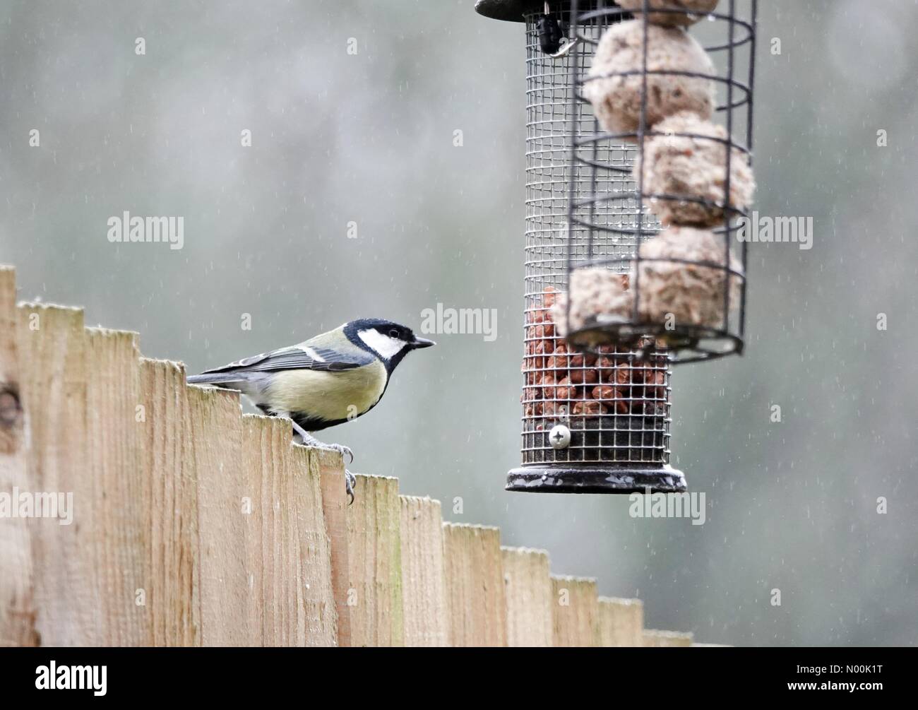 Godalming, Surrey. 20th Jan, 2018. UK Weather: Rain in Godalming ...