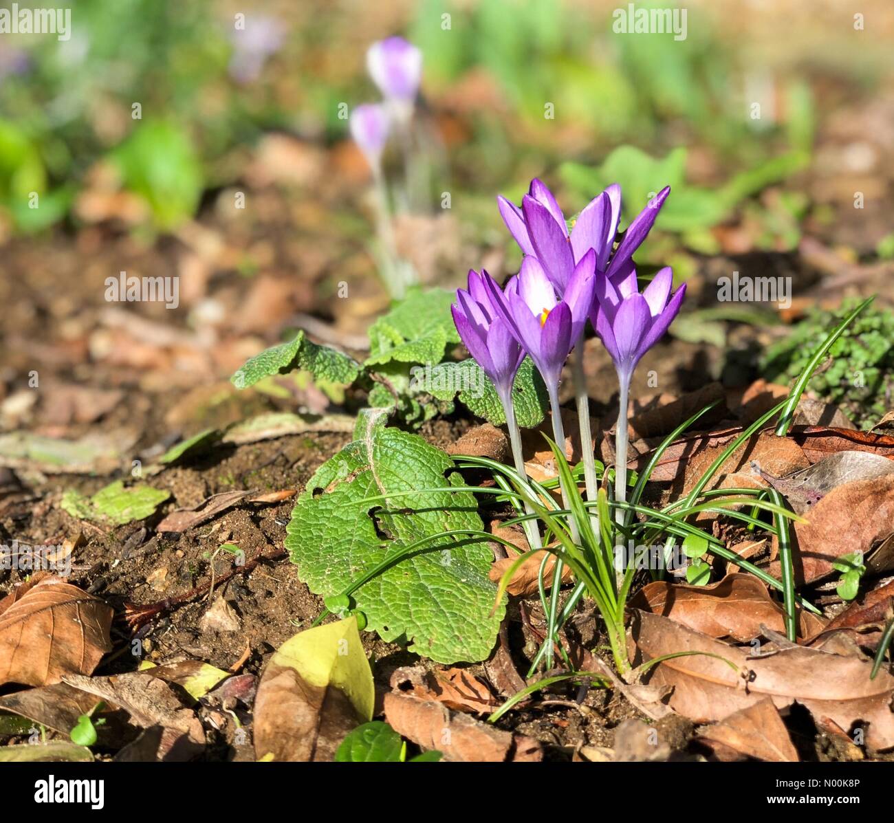 Dry feb uk hi-res stock photography and images - Alamy