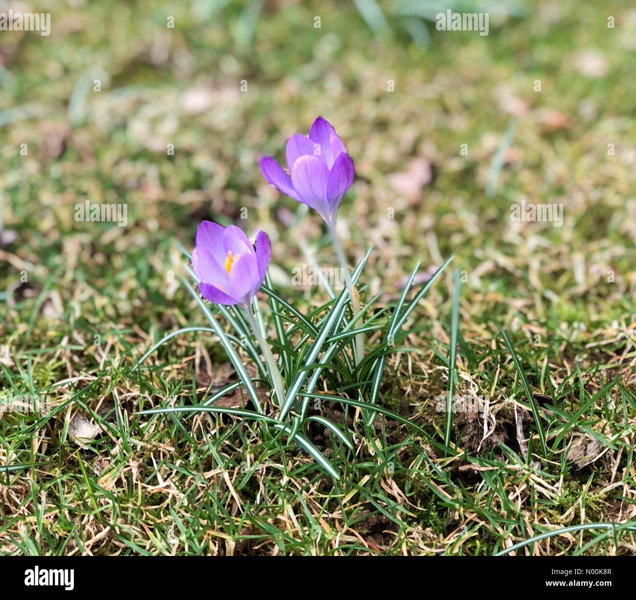 Dry feb uk hi-res stock photography and images - Alamy