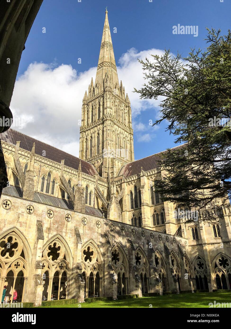 Salisbury, UK. 15th Feb, 2018. UK Weather: Sunny in Salisbury ...