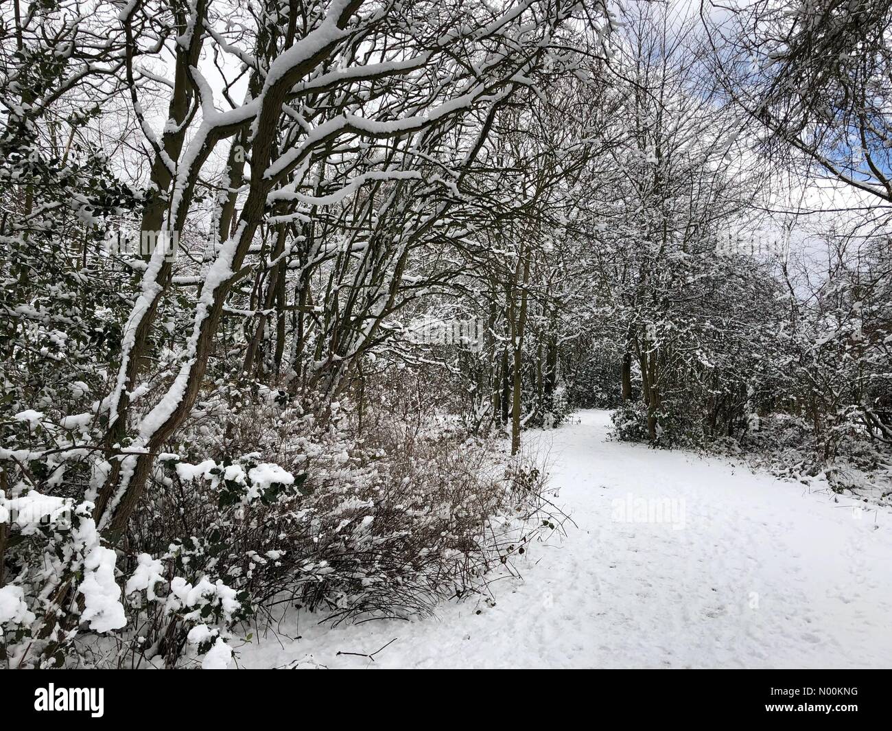 Ponteland hi-res stock photography and images - Alamy