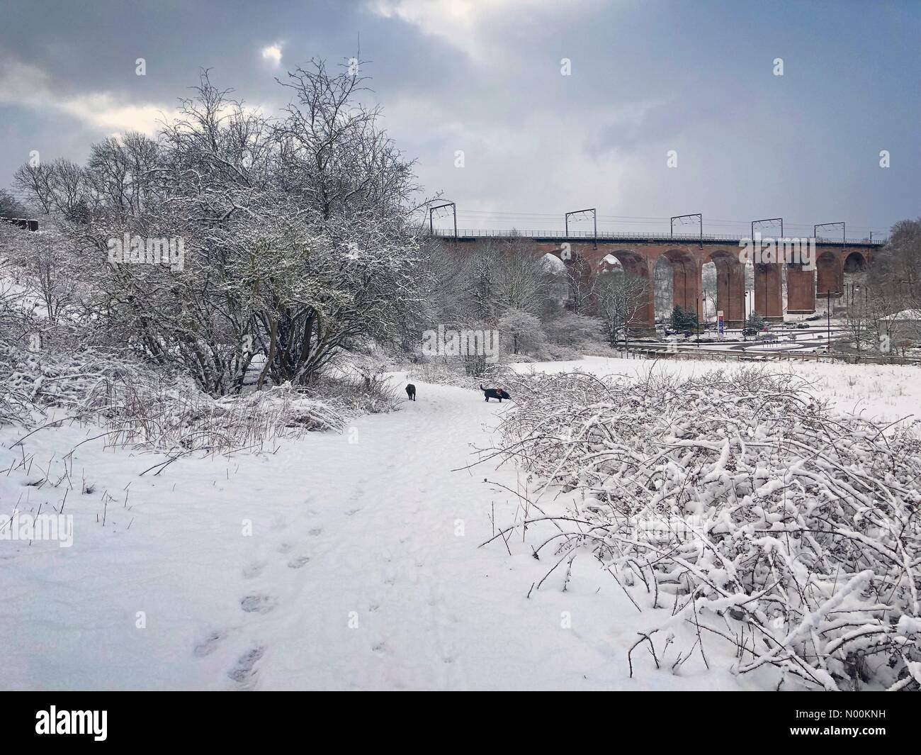 Chester le Street, UK. 27th Feb, 2018. Snowy scene in Chester-Le-Street ...