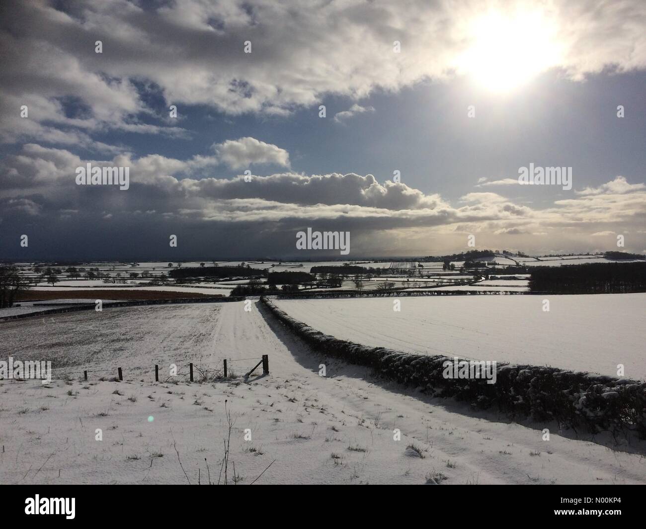 UK Weather - North Yorkshire, Howardian Hills- snow covered fields ...