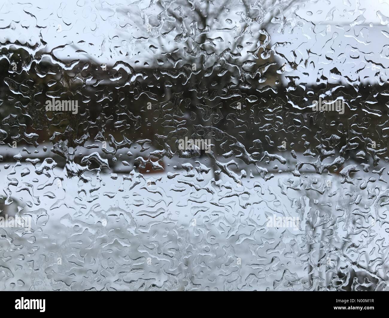 UK Weather. Freezing rain hit Sherborne, West Dorset overnight. Unusual ...