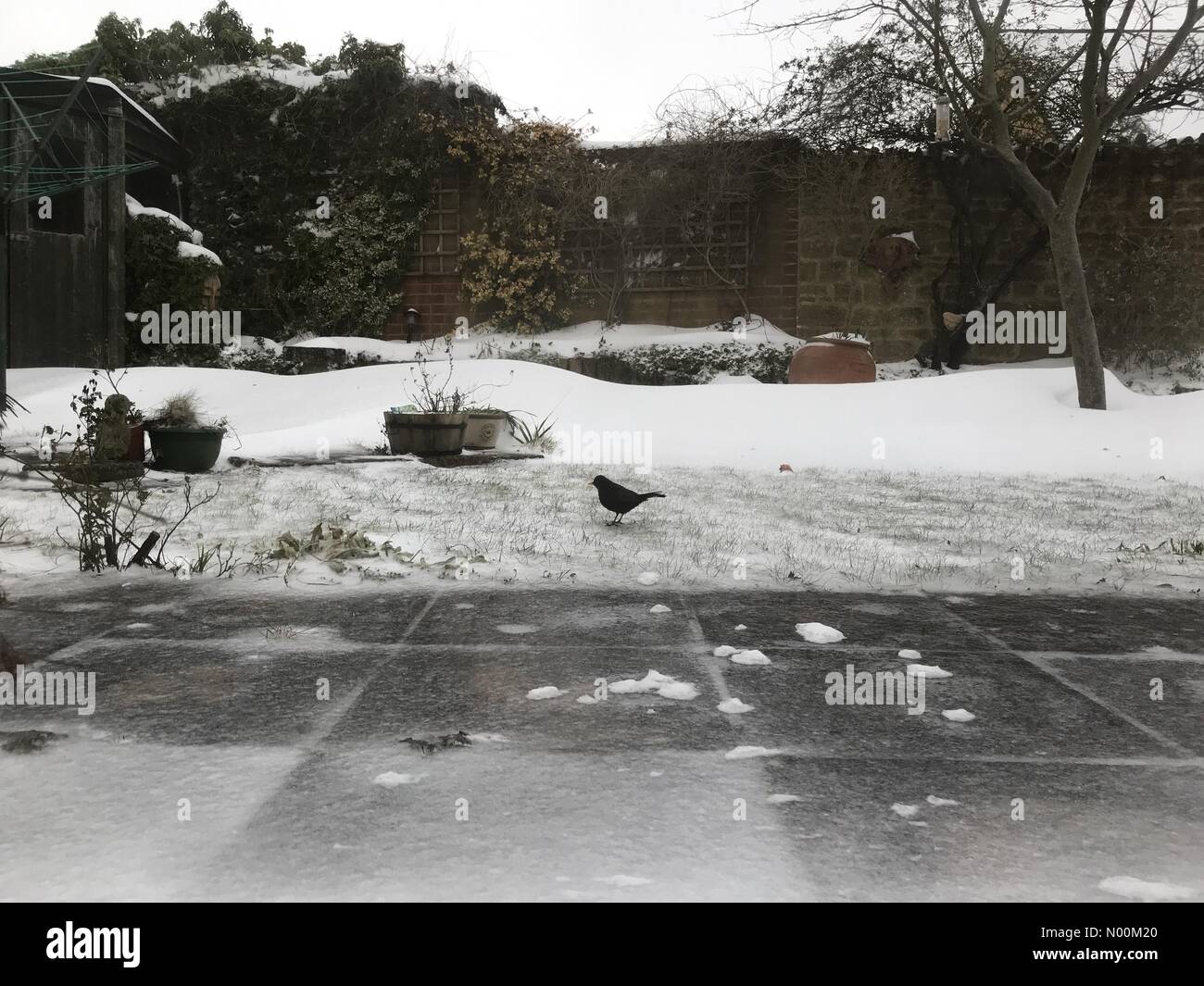 UK Weather. Freezing rain in Sherborne, Dorset. Freezing rain turns the ...