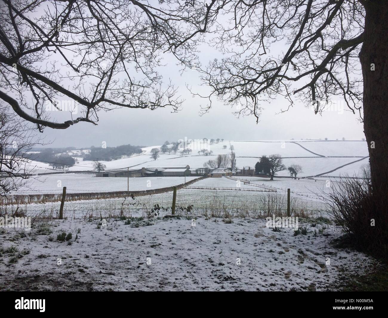 Yorkshire howardian hills hi-res stock photography and images - Alamy