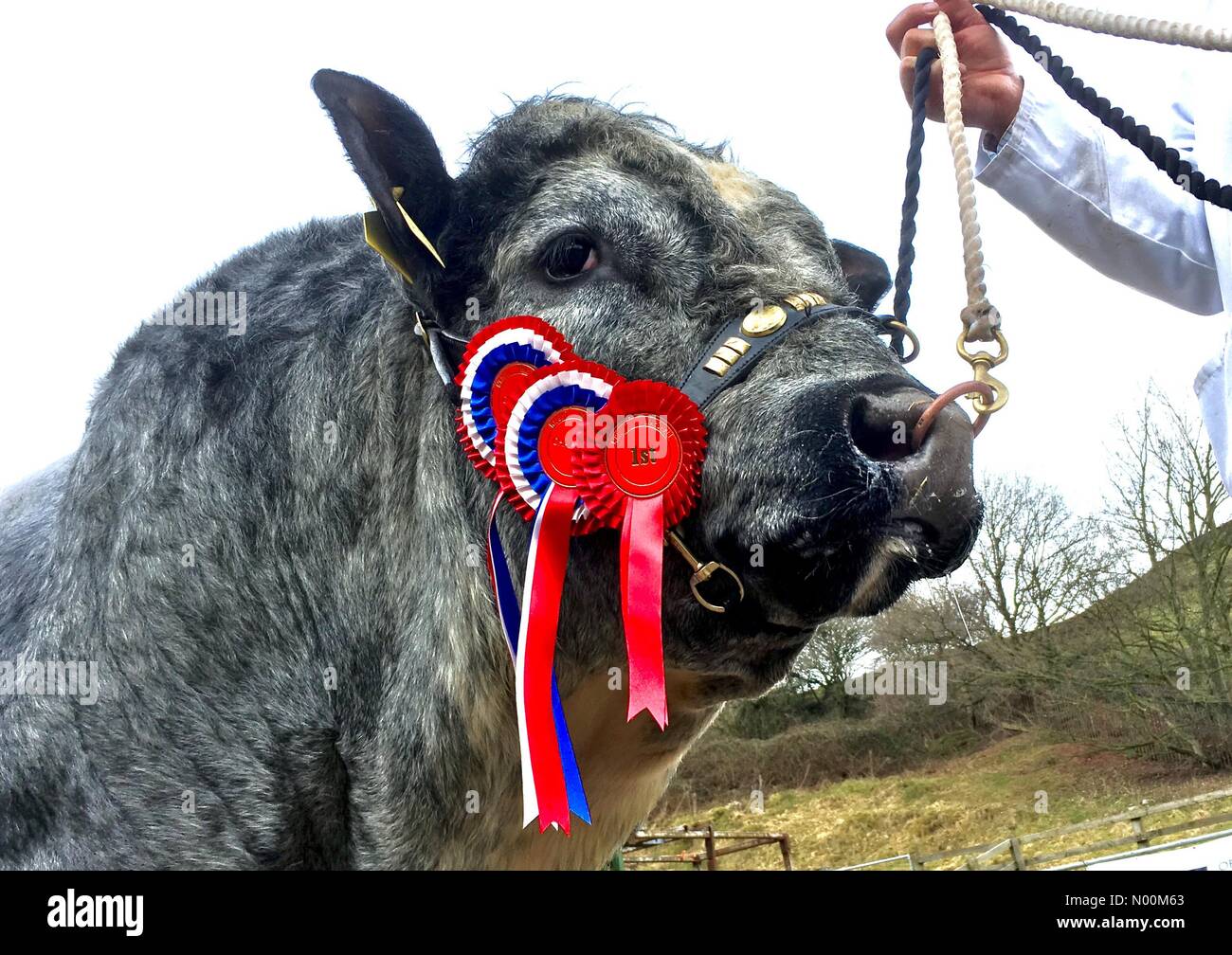 Eveson hi-res stock photography and images - Alamy