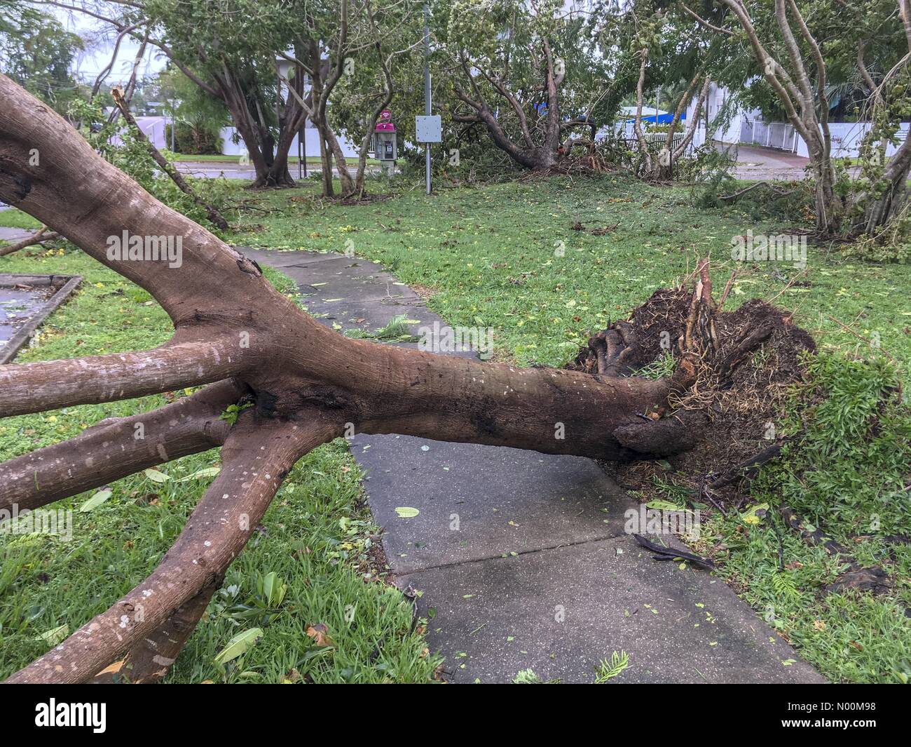 Darwin, Australia. 17th March, 2018. Damage done in Darwin the capital ...