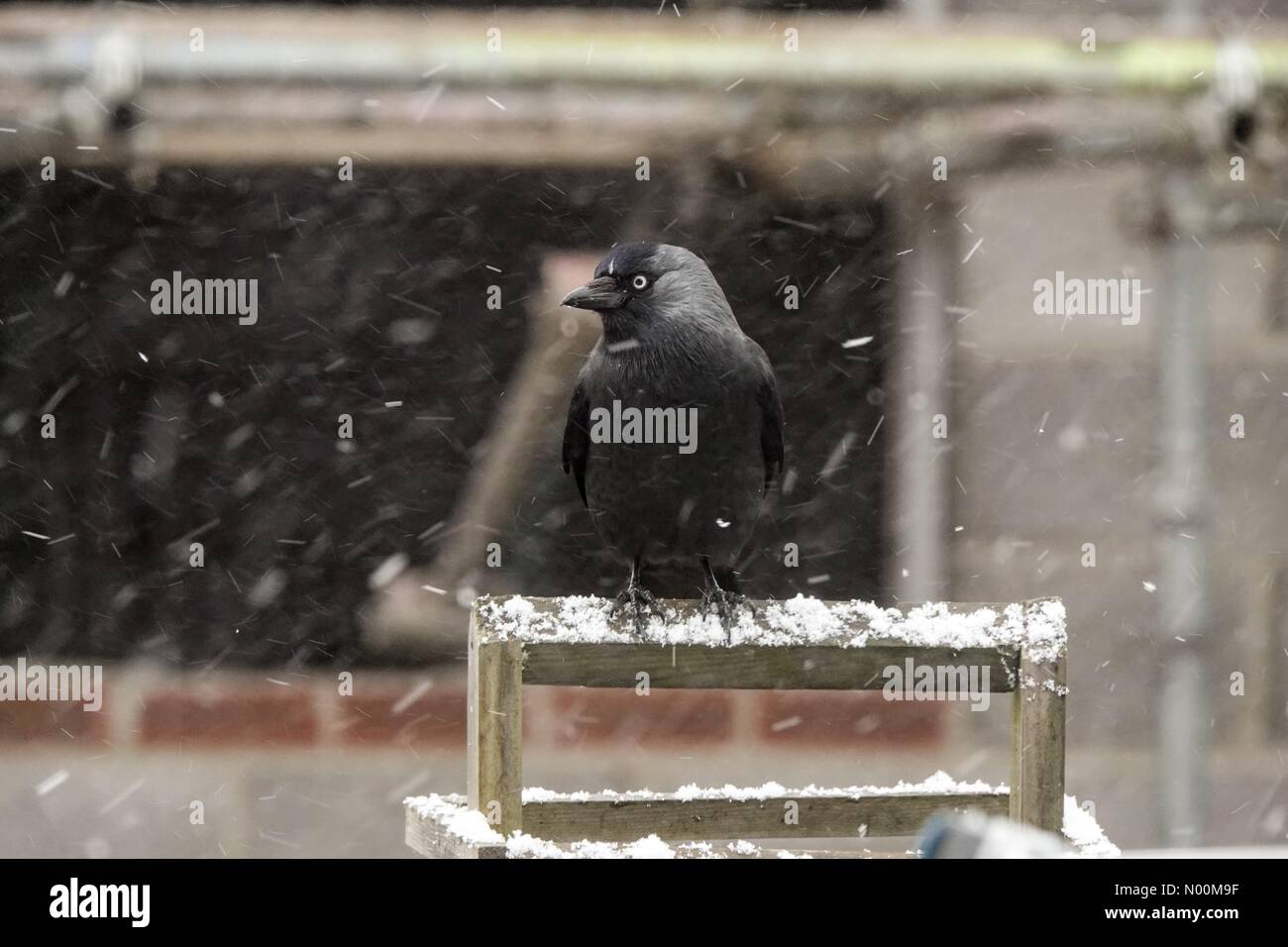Godalming, UK, March 2018. A band of heavy snowfall hit the Home ...