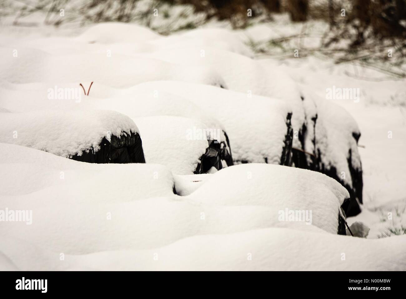 UK Weather: Snow in Godalming. Station Lane, Godalming. 18th March 2018 ...