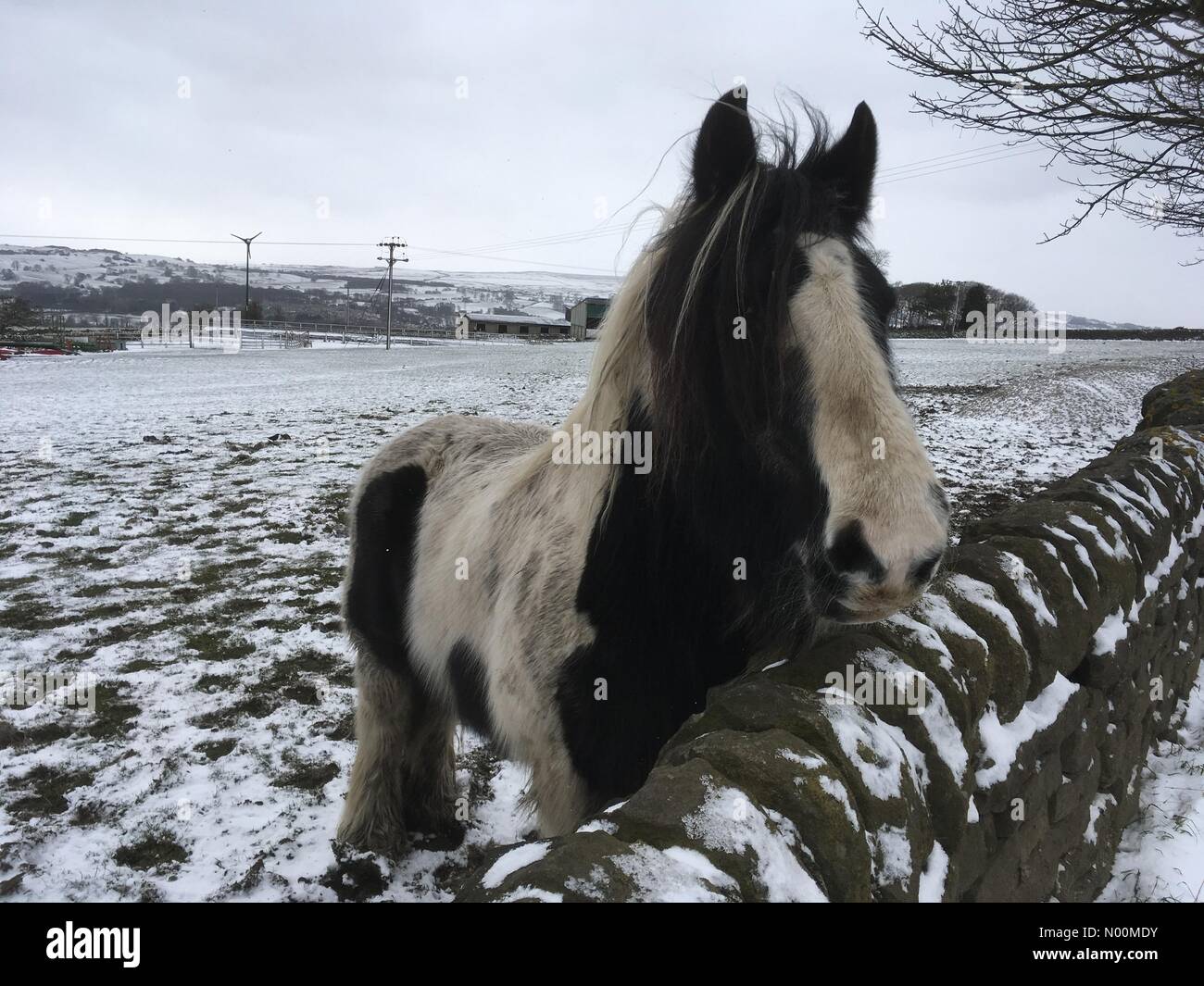 Beast from the east farm hi-res stock photography and images - Alamy