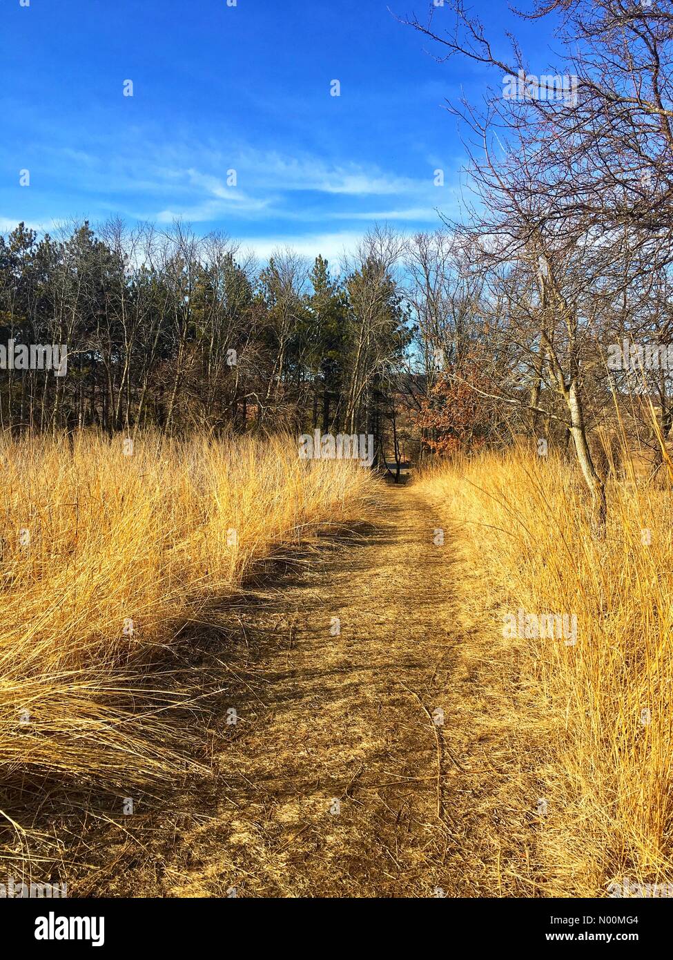 Retzer nature center hi-res stock photography and images - Alamy
