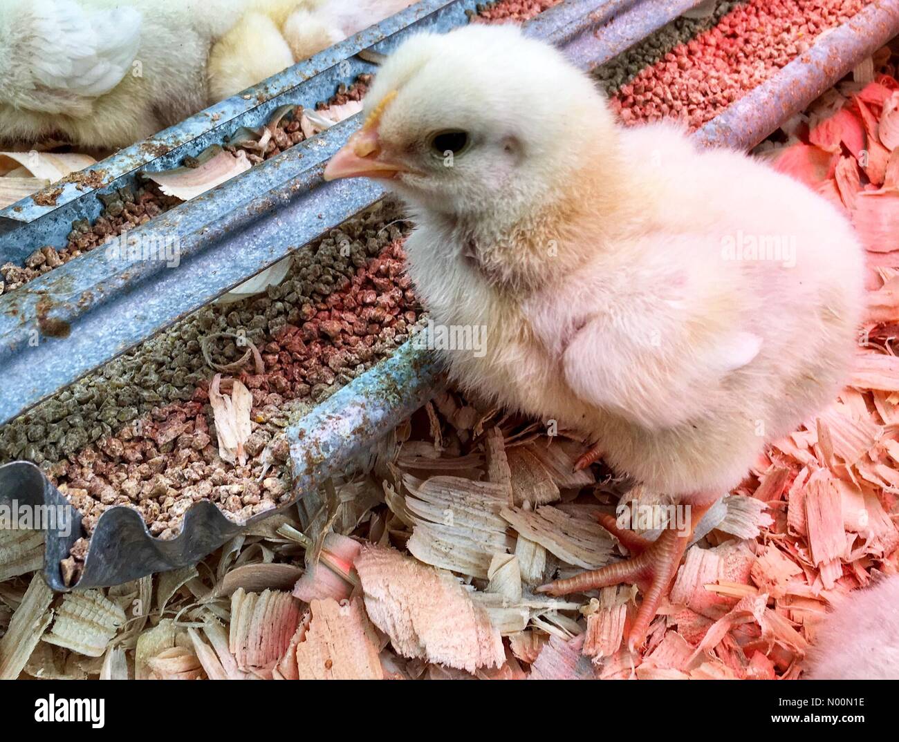 4h presentation hi-res stock photography and images - Alamy