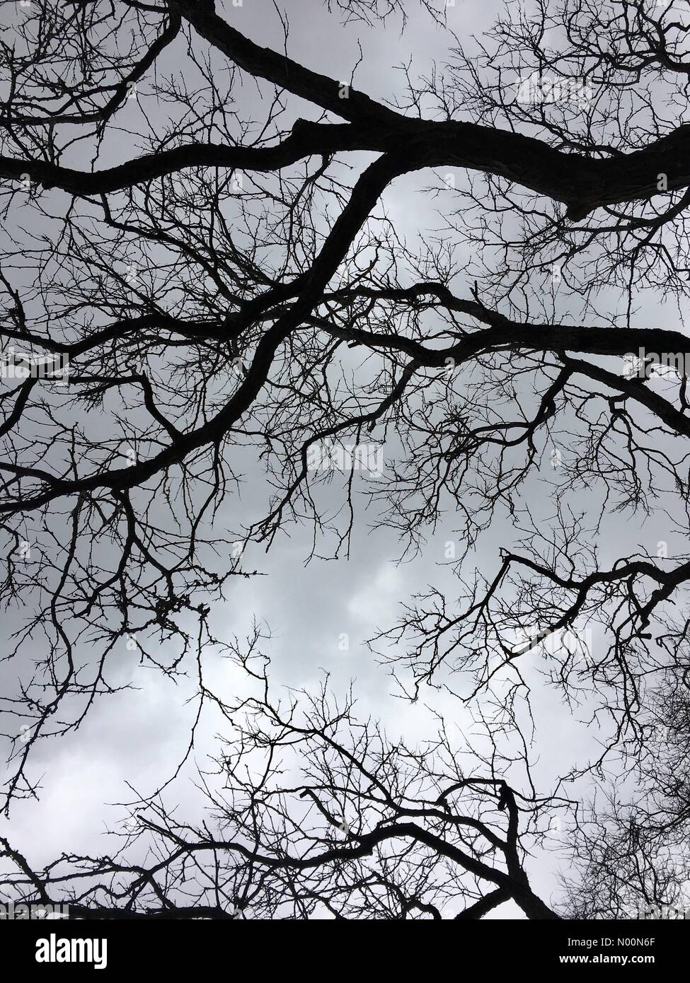 Waukesha, USA. 9th Apr, 2018. Dreary spring weather, Waukesha, WI USA ...