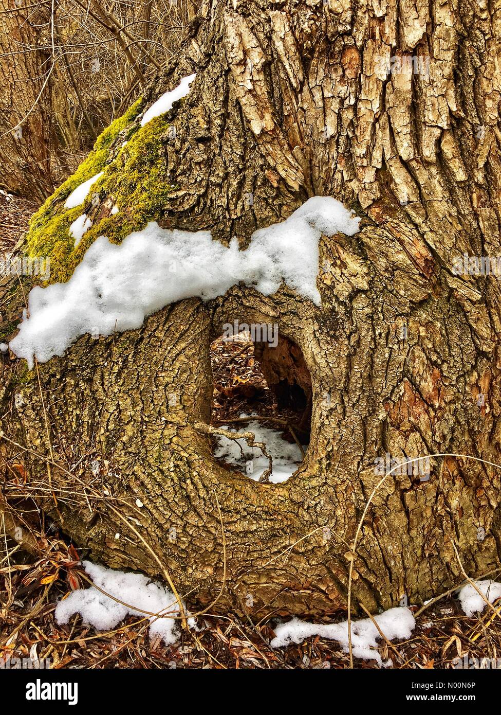 9th apr hi-res stock photography and images - Alamy