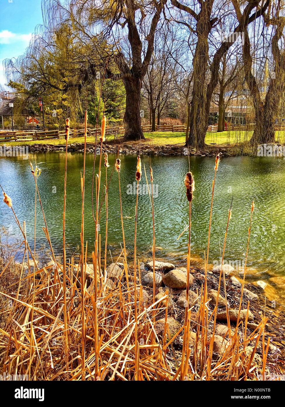 Zoo pond hi-res stock photography and images - Alamy