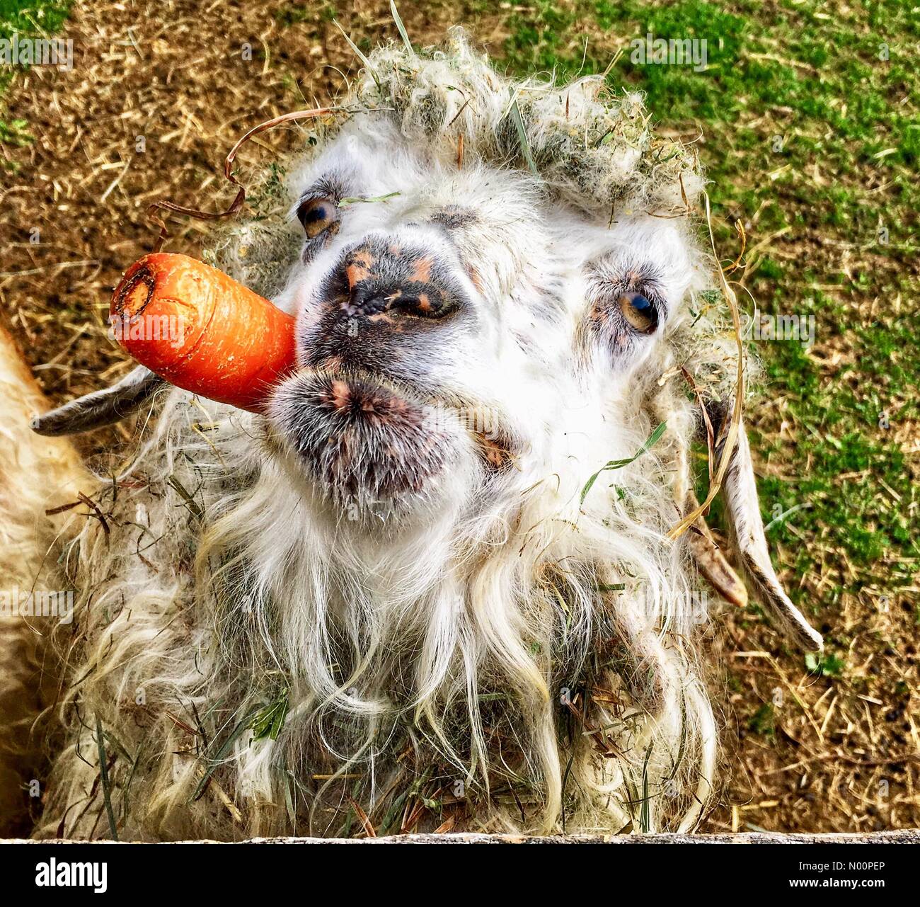 Wisconsin Weather: After Spring Rains, Animals and Flowers Thrive, 14th ...