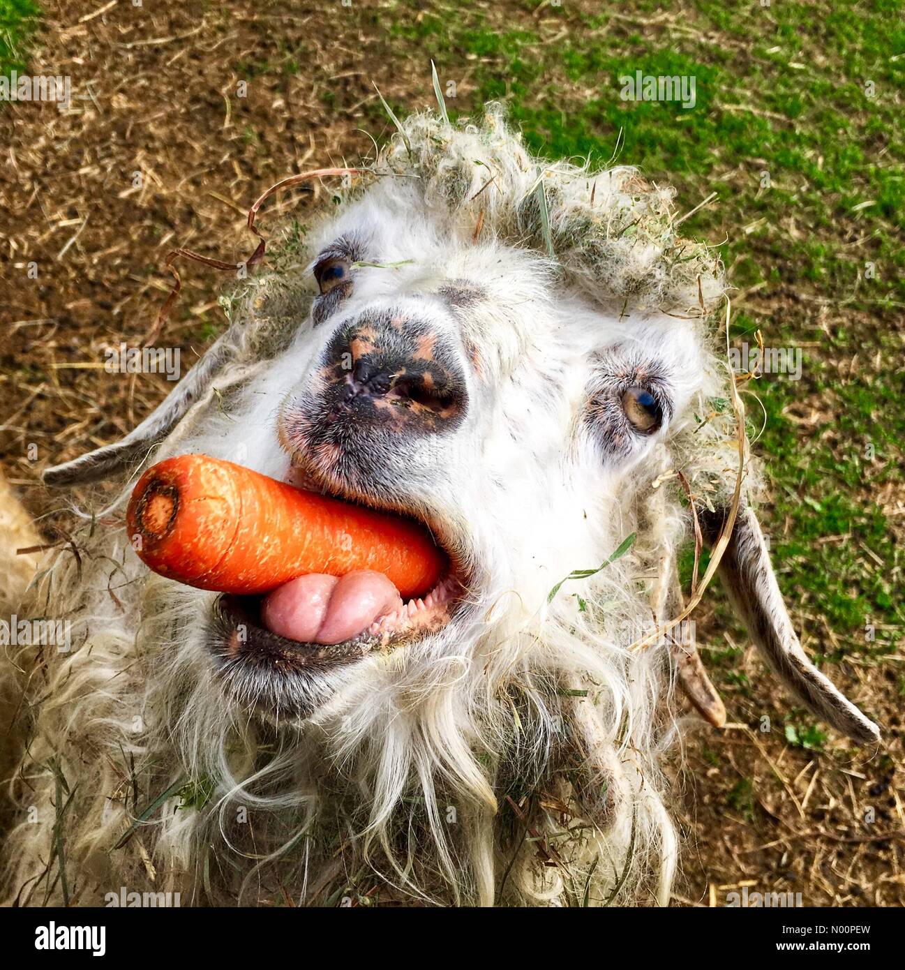 Wisconsin Weather: After Spring Rains, Animals and Flowers Thrive, 14th ...