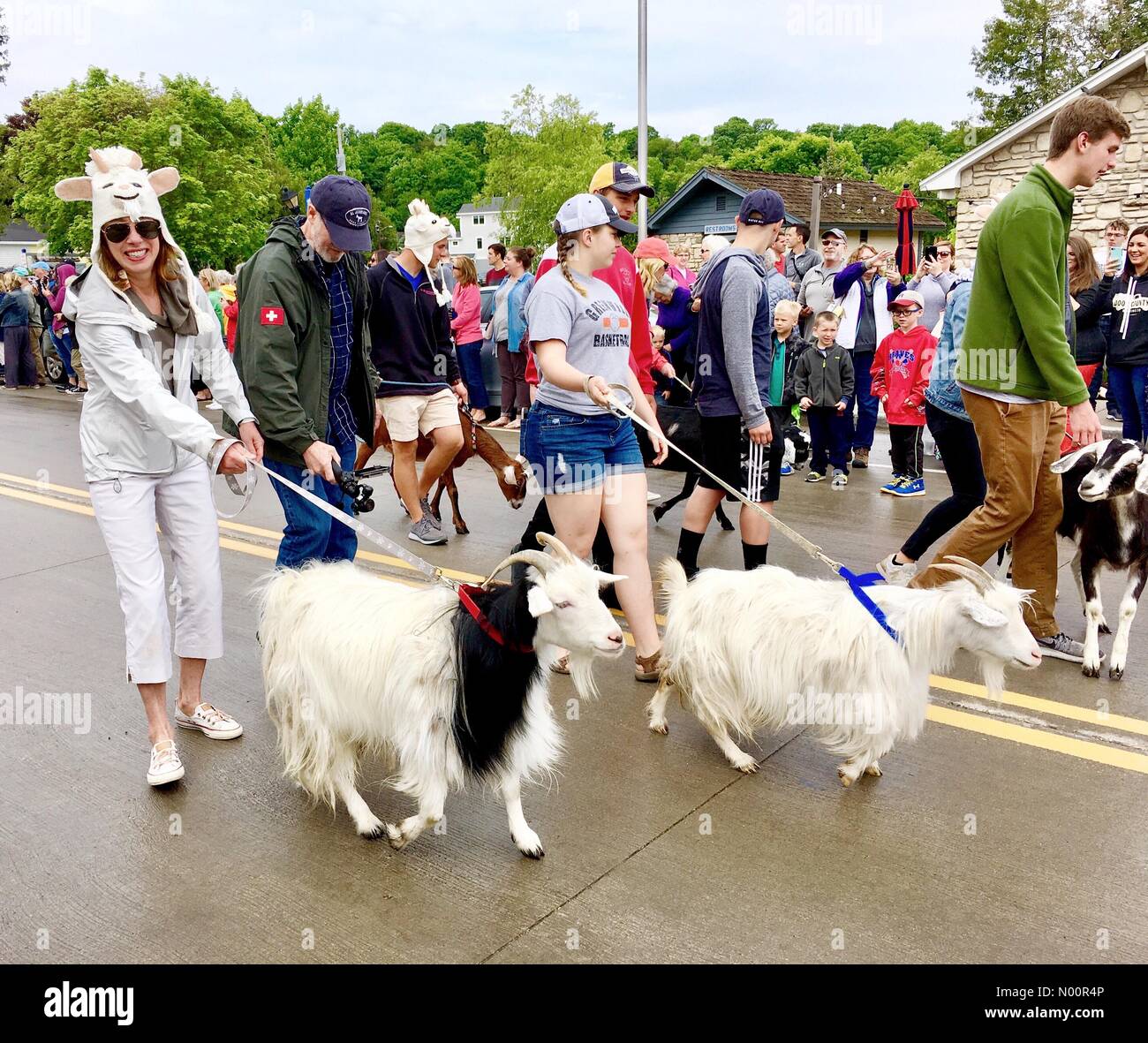 People walking goats on leash hi-res stock photography and images - Alamy