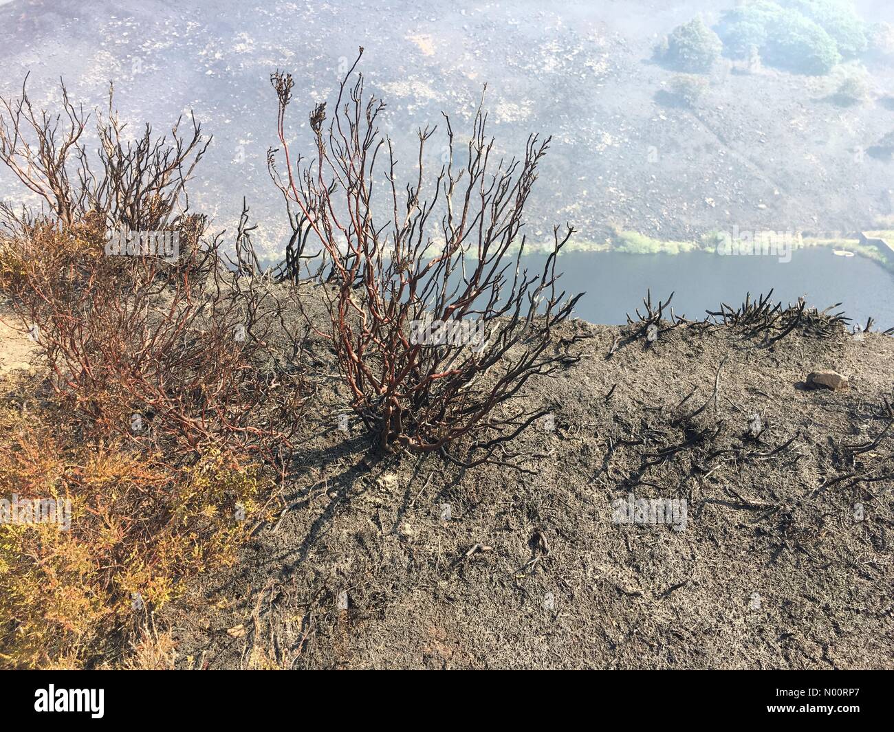 Saddleworth Moor fire continuing to burn - 28th June 2018. Continued ...
