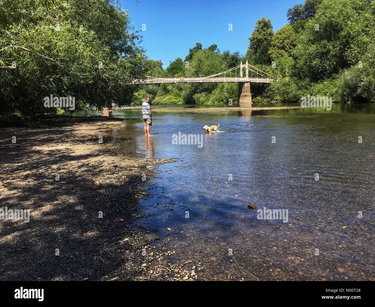 Low river levels on River Wye - Hereford Herefordshire UK Tuesday 3rd ...