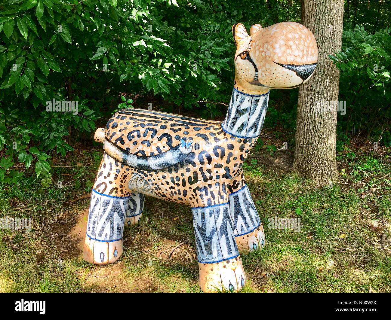 Zebra beastie hi-res stock photography and images - Alamy