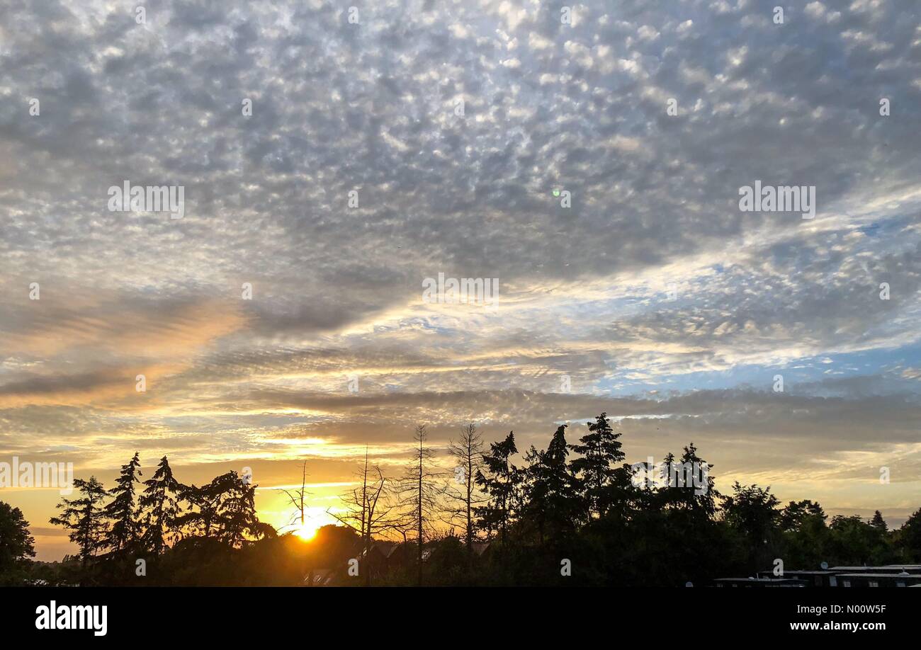Tuesley Farm, Godalming. 30th July 2018. A beautiful end to the day for ...