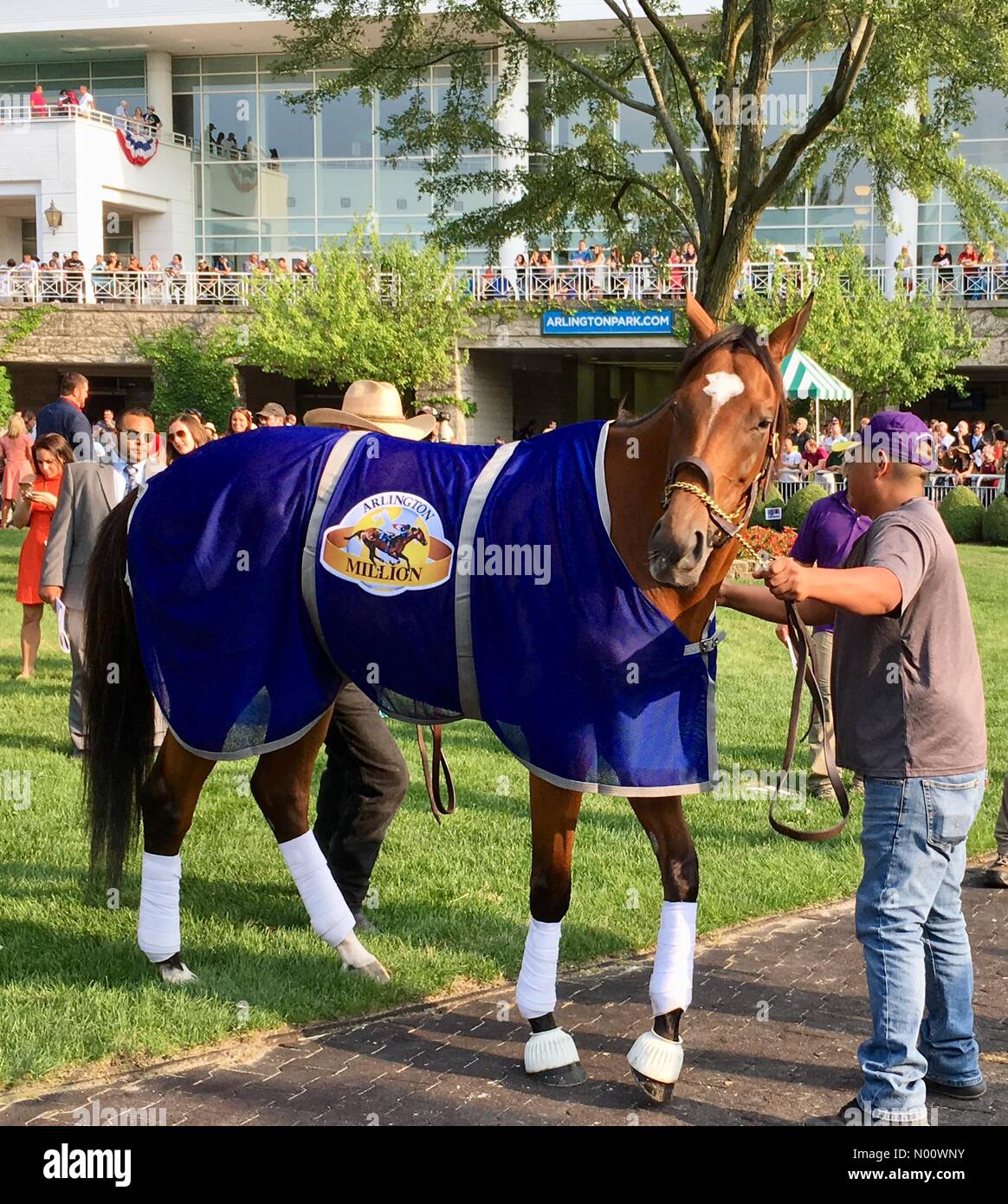 Arlington Million Day, 11th August 2018, Arlington Heights, Ill, USA ...