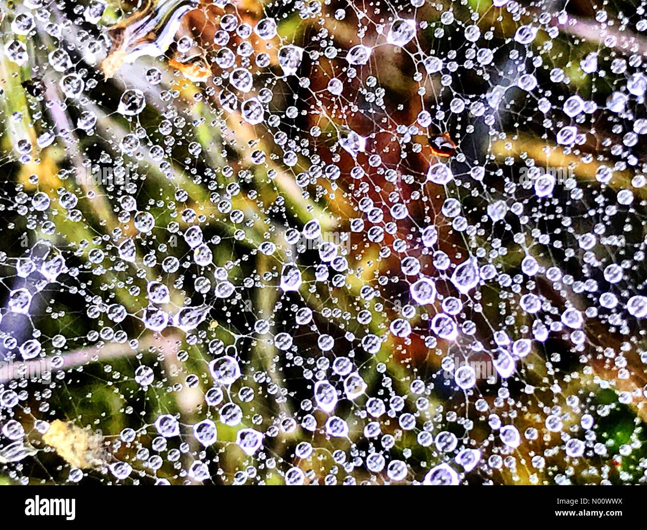 Richard wayman hi-res stock photography and images - Alamy