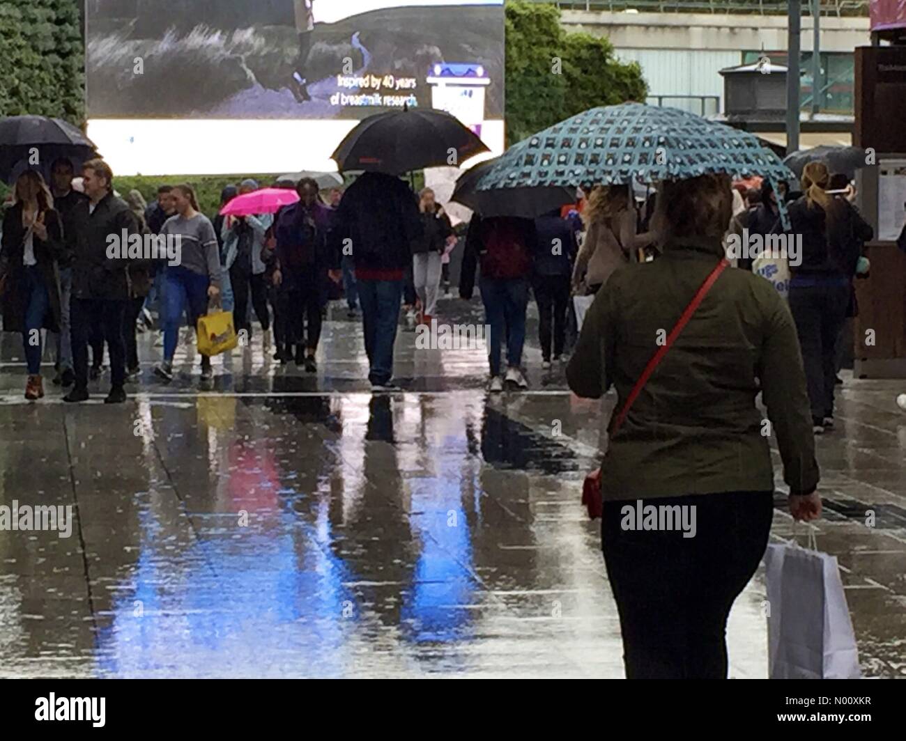 UK Weather: People use umbrellas to shelter from the rain in Shepherd’s ...