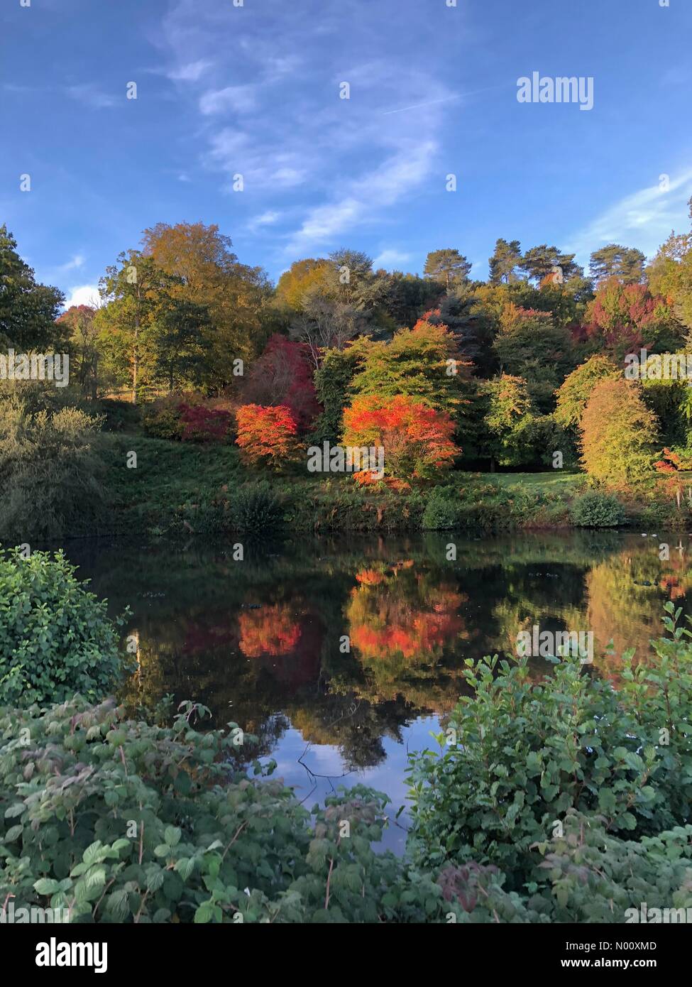 Godalming. Winkworth Arboretum, Godalming. 07th October 2018. A ...