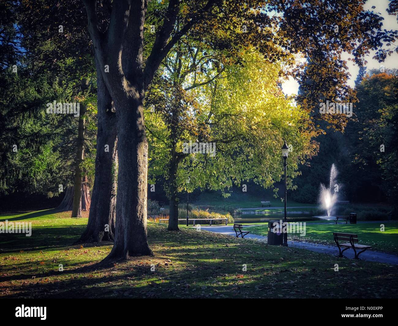 Tring park autumn hi-res stock photography and images - Alamy