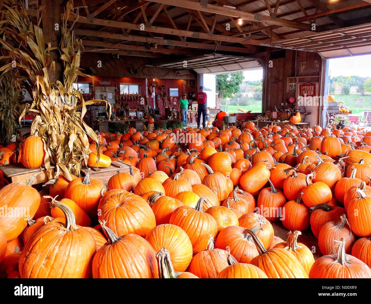 Cozy nook annual farm market hi-res stock photography and images - Alamy