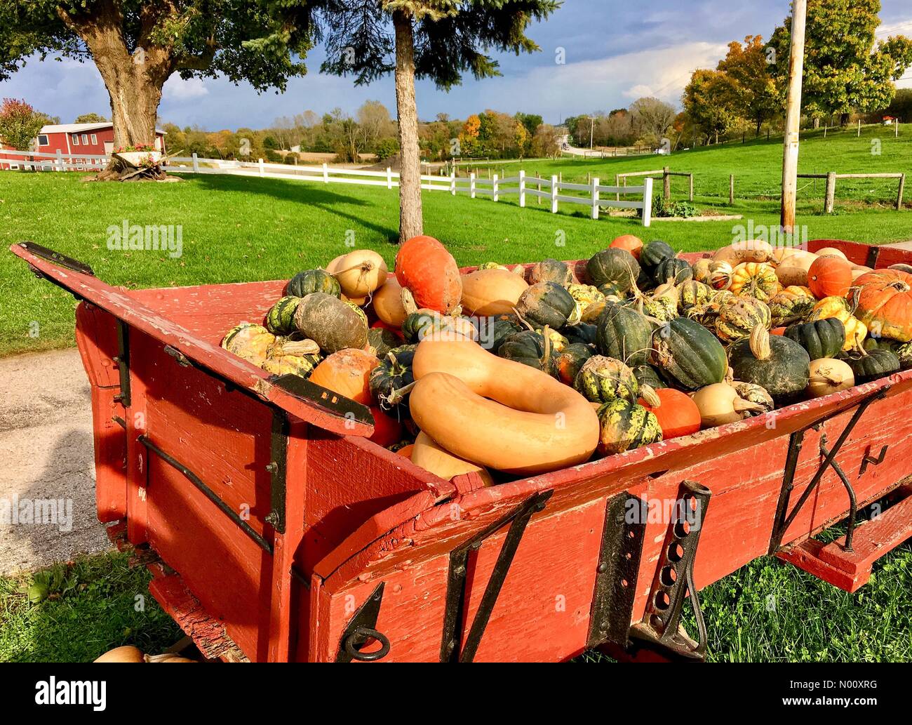 Cozy nook annual farm market hi-res stock photography and images - Alamy