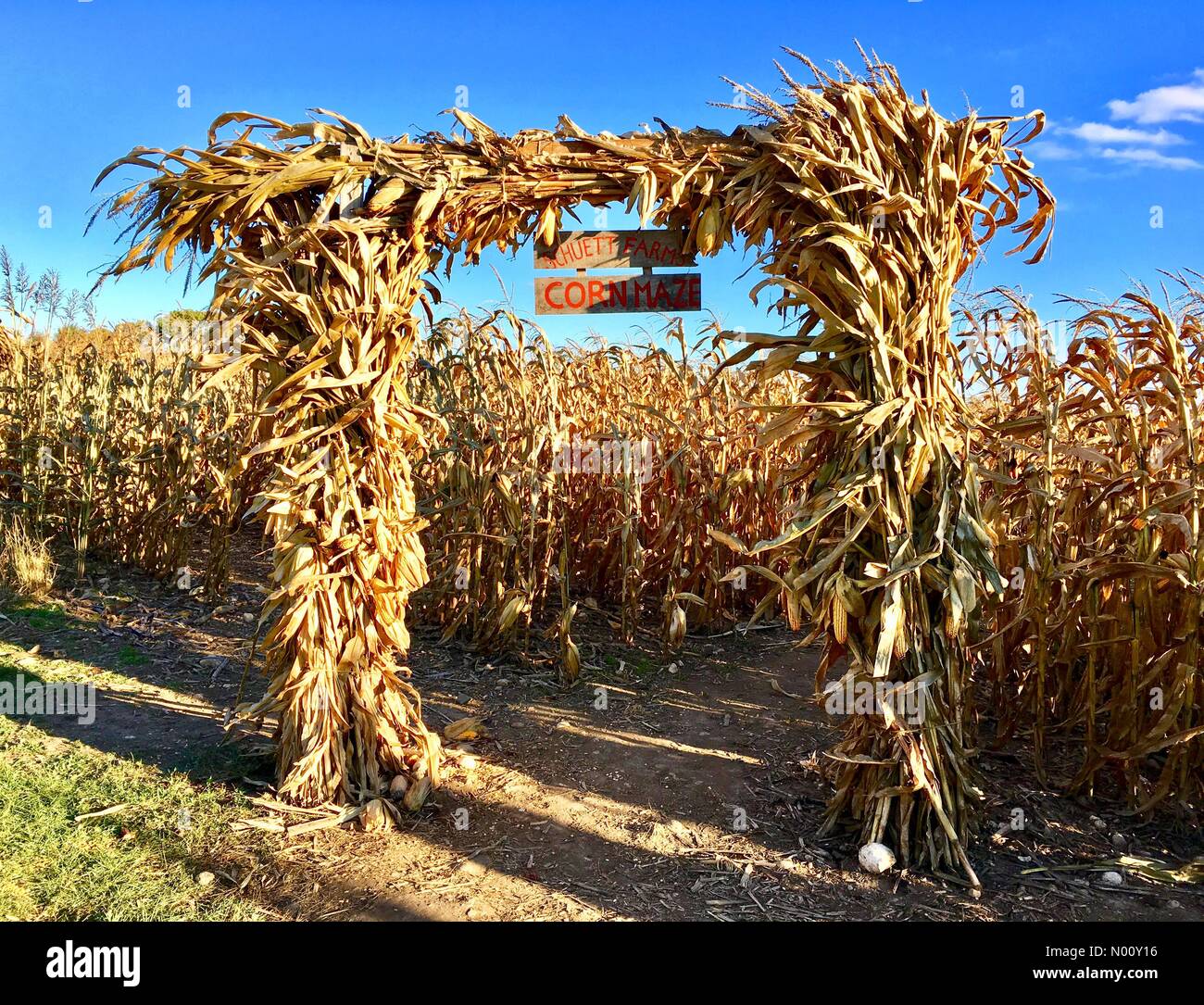 Corn shocks hi-res stock photography and images - Alamy