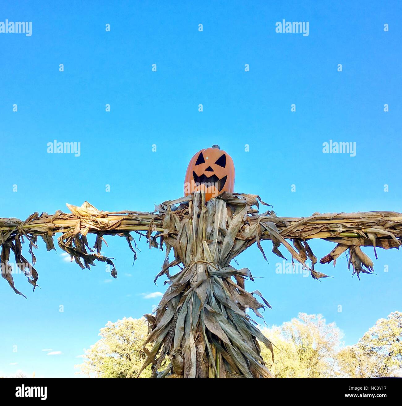 Jack skellington scarecrow hi-res stock photography and images - Alamy