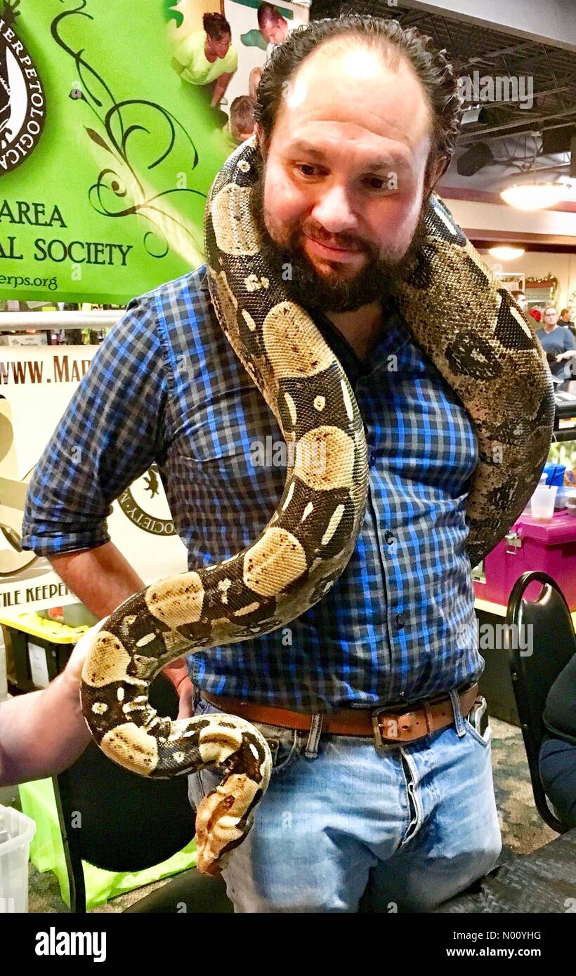 Herp club hi-res stock photography and images - Alamy