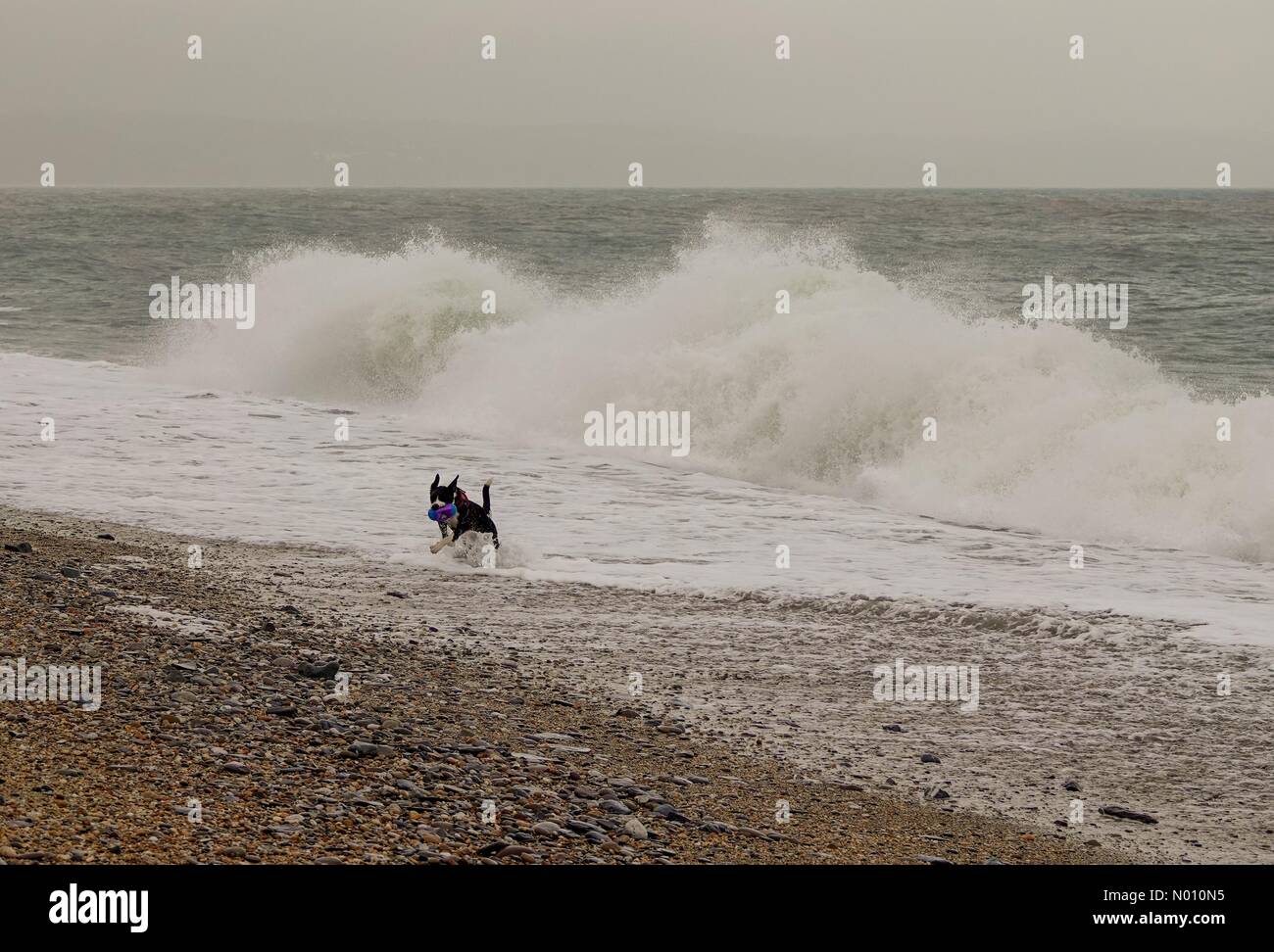 Devon today hi-res stock photography and images - Alamy