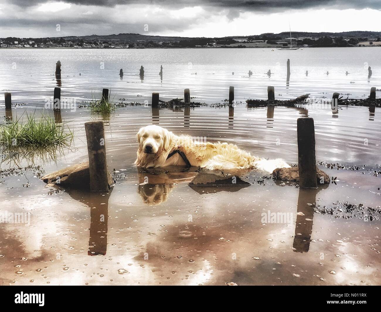 The turf devon hi-res stock photography and images - Alamy