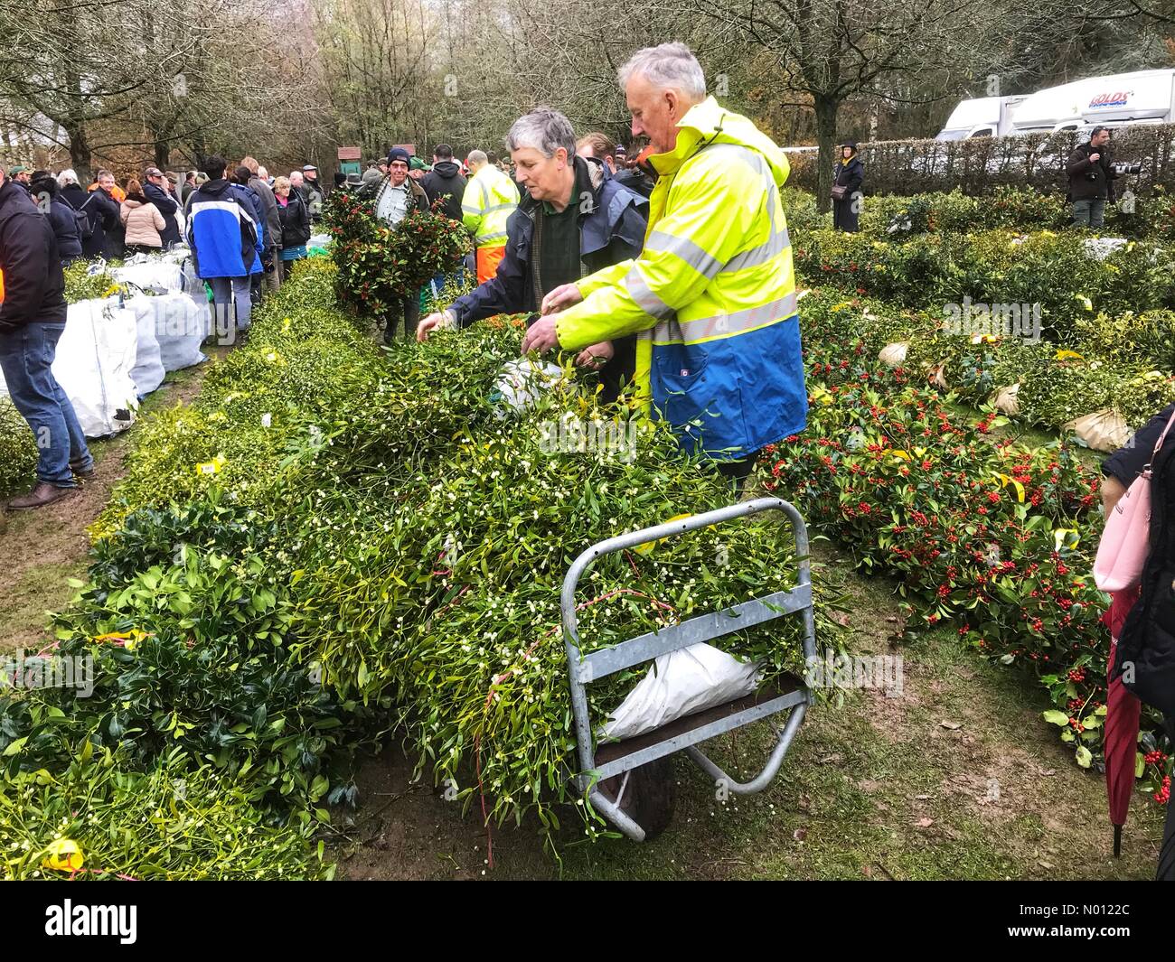 Tenbury wells mistletoe and holly auction hi-res stock photography and ...