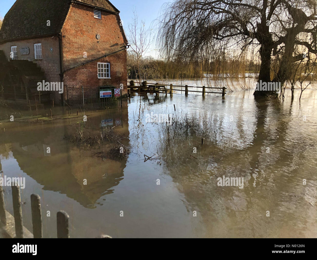 River mole cobham surrey hi-res stock photography and images - Alamy