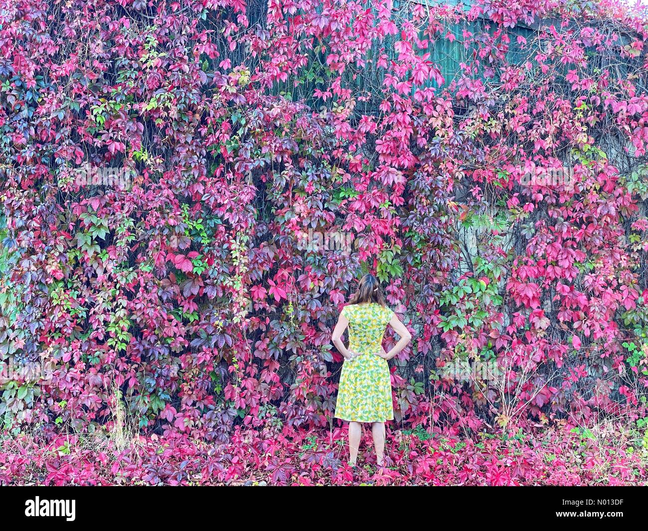 Ide devon hi-res stock photography and images - Alamy