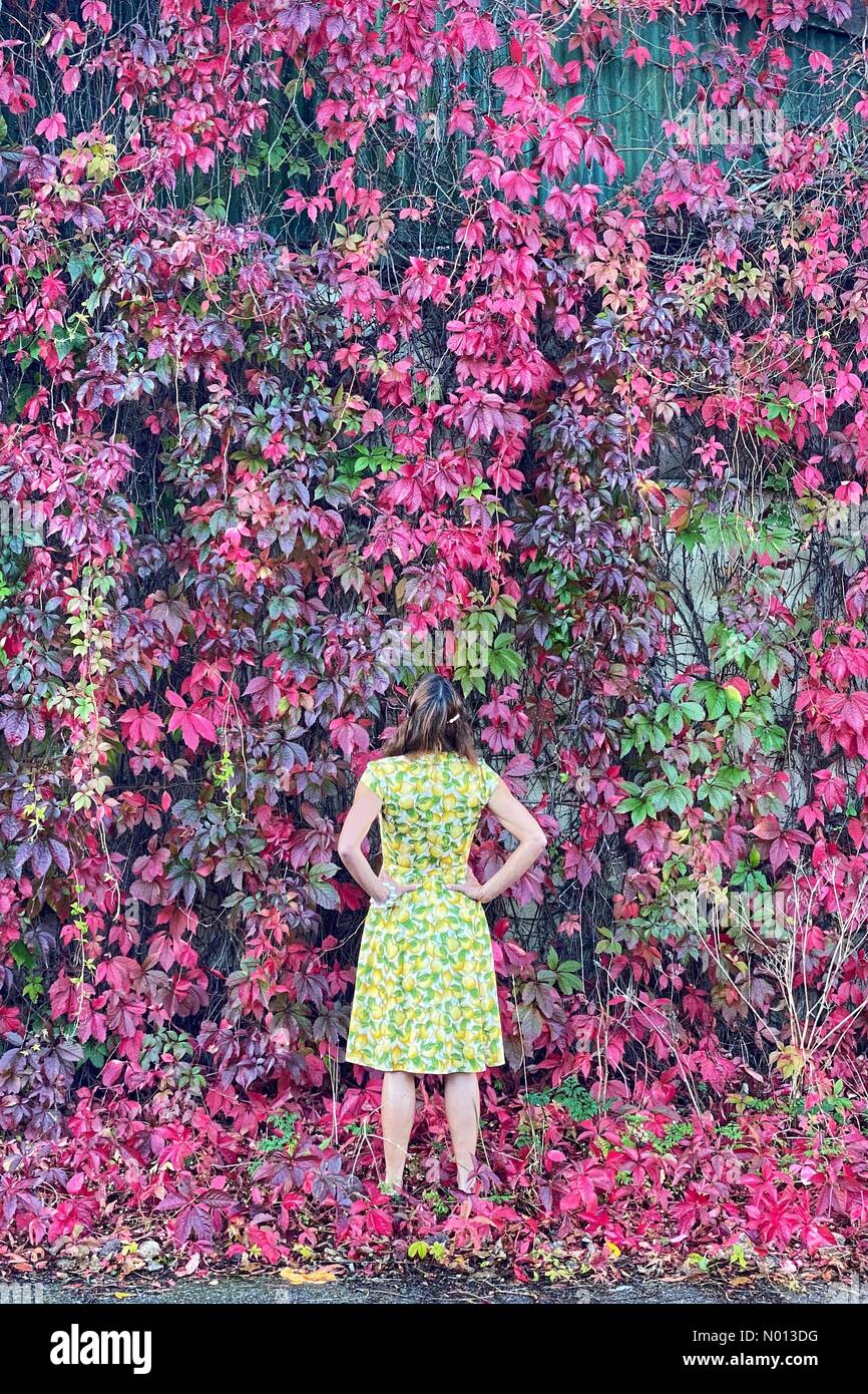 Ide devon hi-res stock photography and images - Alamy