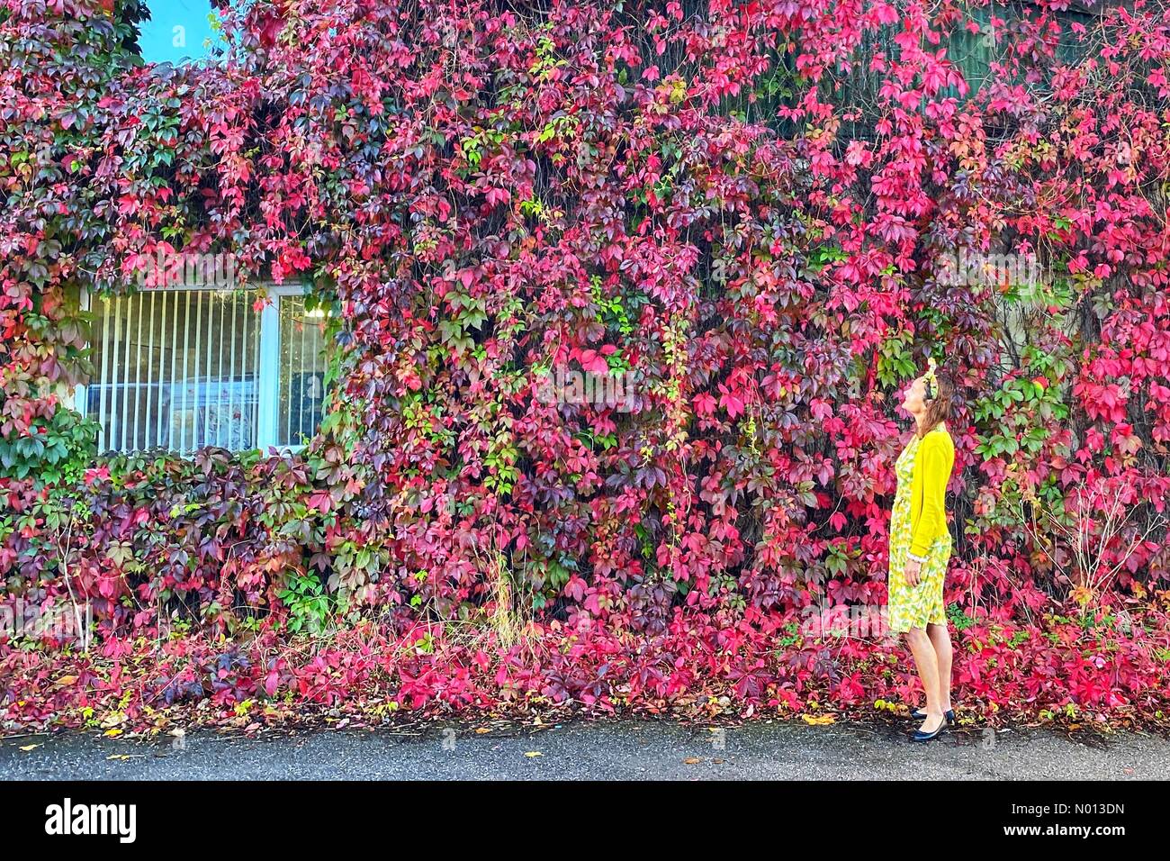 Ide devon hi-res stock photography and images - Alamy