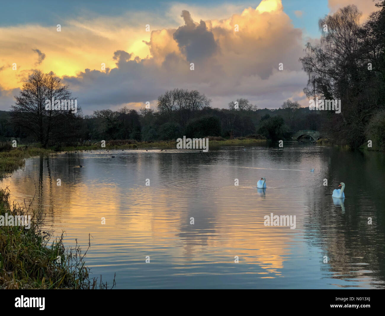 Waverley lake hi-res stock photography and images - Alamy