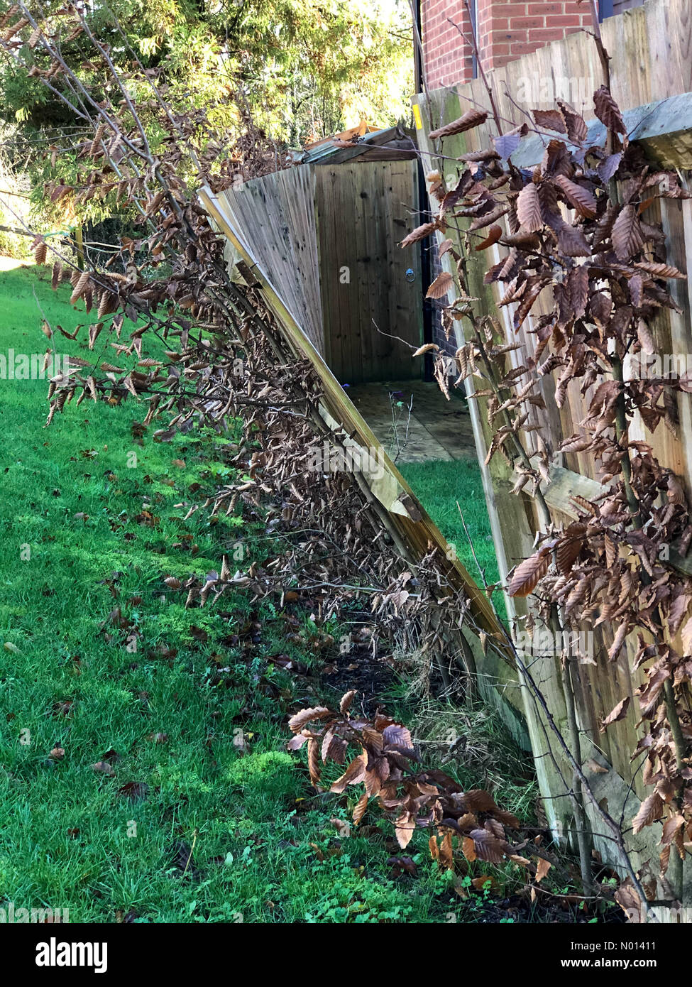 Storm bella damage hi-res stock photography and images - Alamy