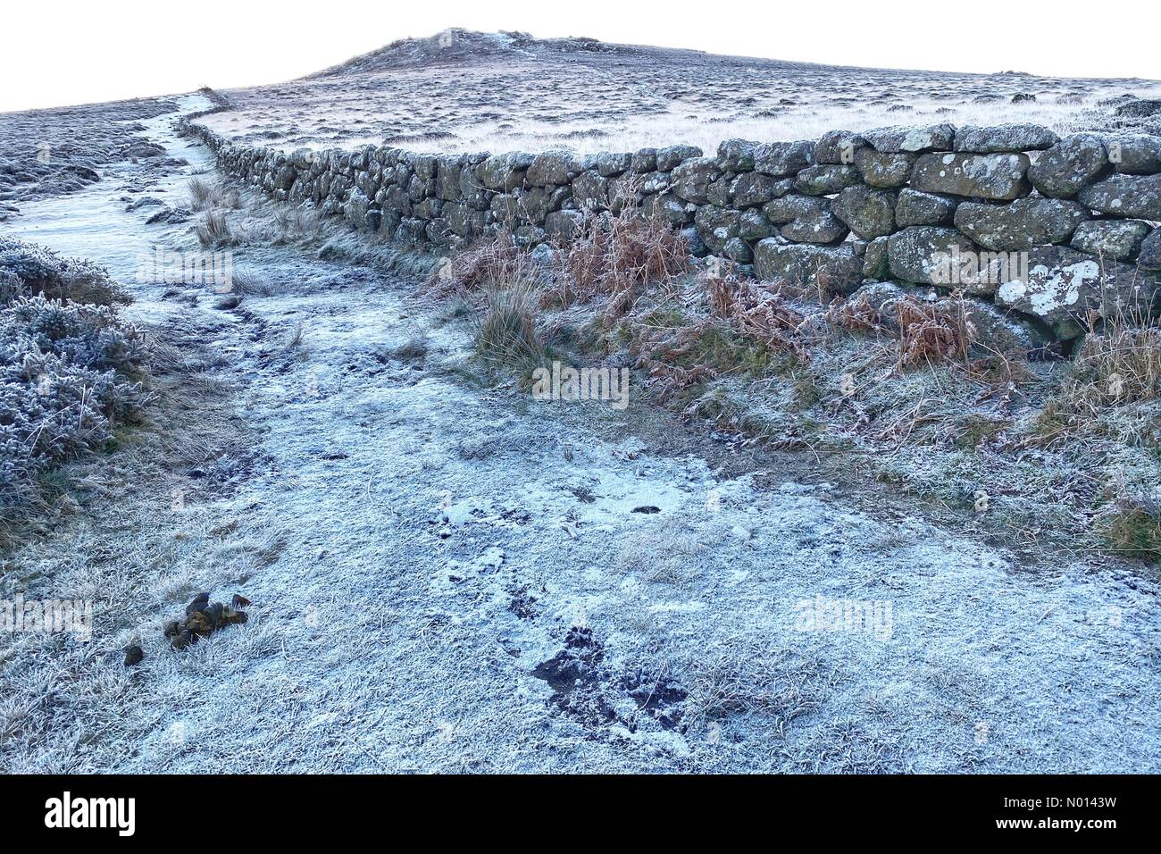 Dartmoor, Devon. 7th Jan 2021. UK Weather: Icy frost chill near Rippon ...