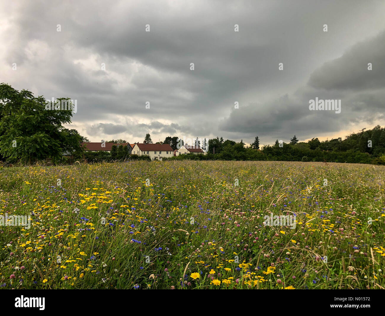 Surrey countryside cottage hi-res stock photography and images - Alamy