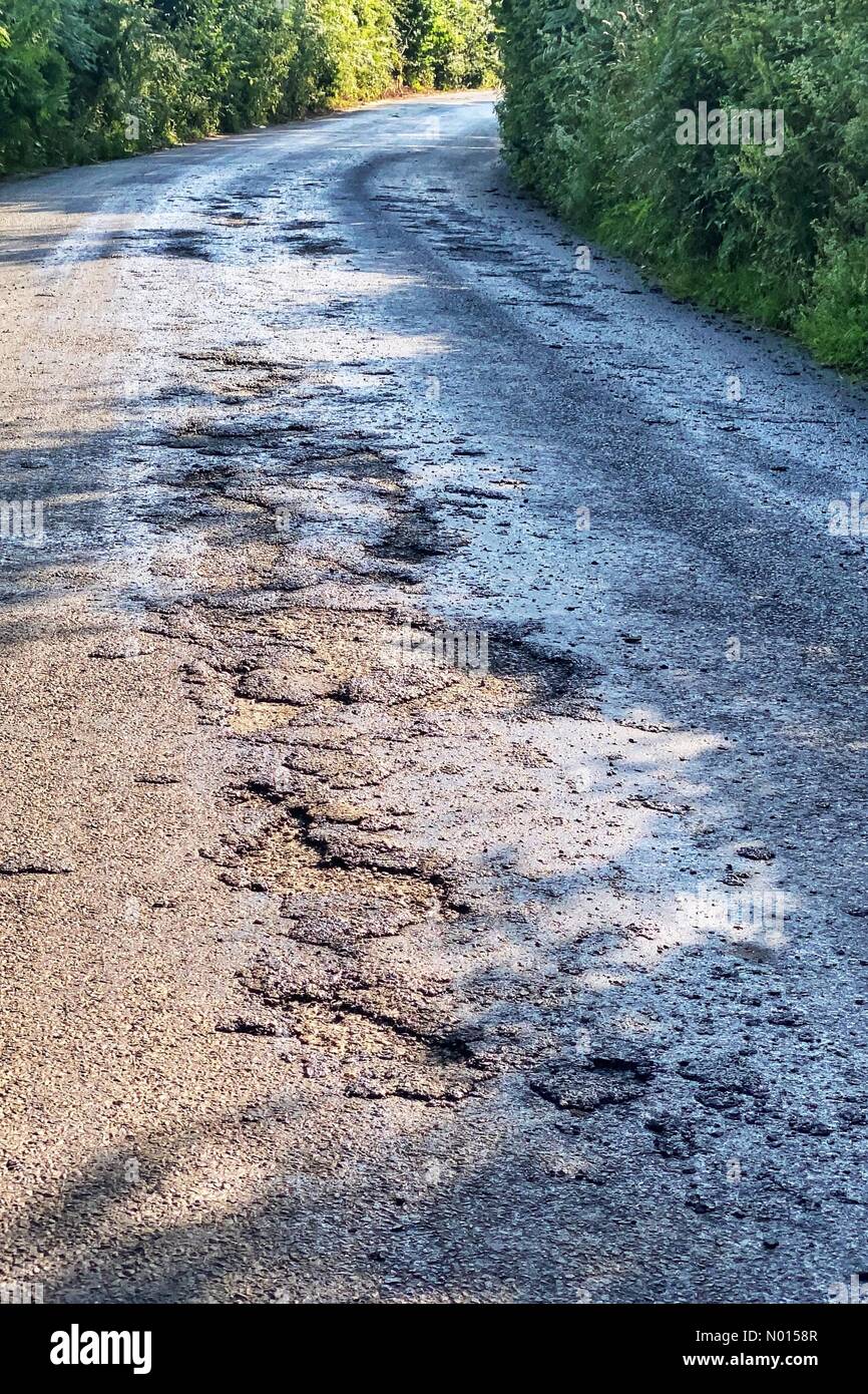 Tick lane hi-res stock photography and images - Alamy