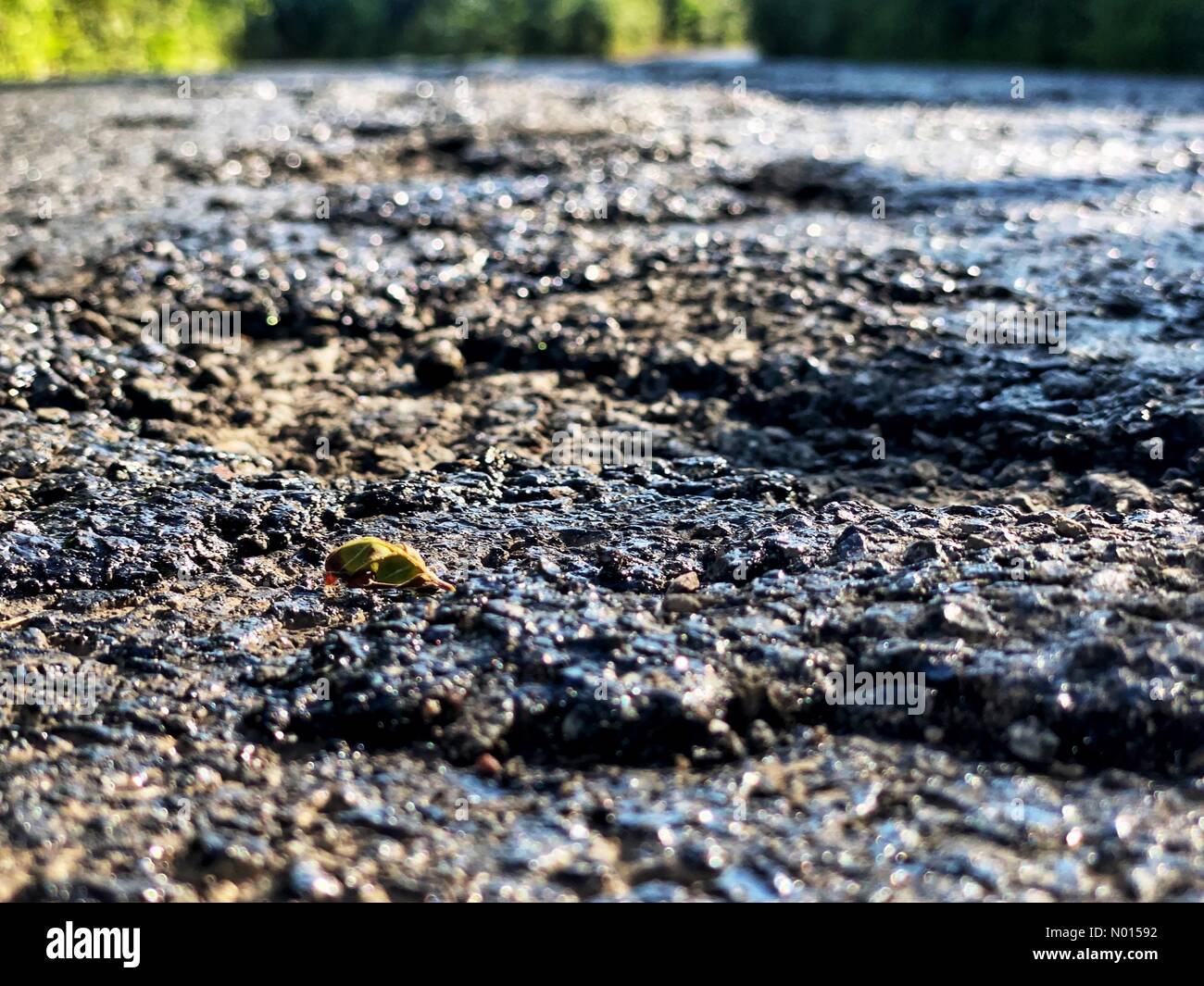 Tick lane hi-res stock photography and images - Alamy